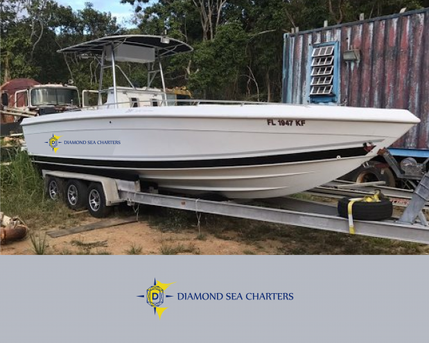 Logo Design #80 | 'Diamond Sea Charters' design project | DesignContest