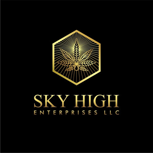 Logo Design #265 | 'Sky High Enterprises, LLC' design project ...