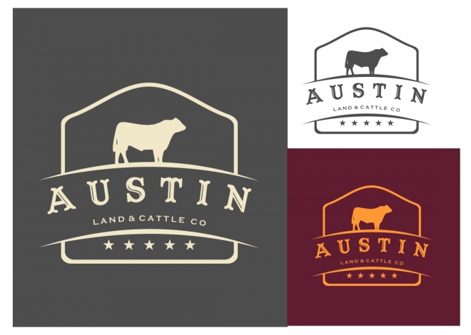 Logo Design #96 | 'Austin land and cattle Co' design project ...