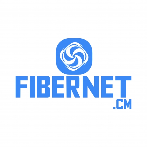 Logo Design #373 | 'Fibernet' design project | DesignContest