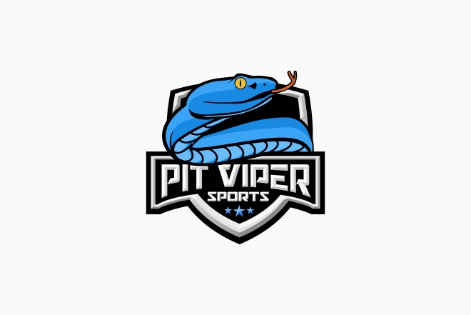 Logo and Business Card Design #69 | 'Pit Viper Sports' design project ...