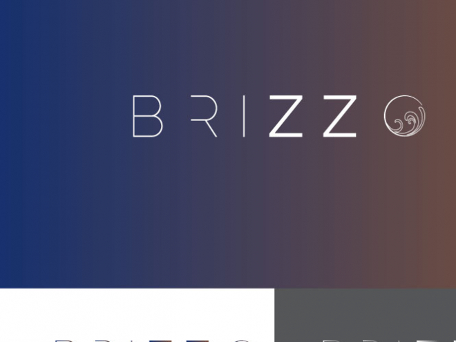 Logo Design #1598 | 'BRIZZO' design project | DesignContest