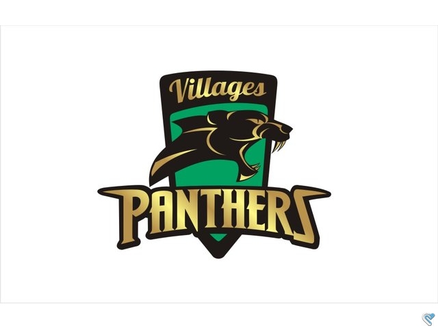 Logo Design #33 | 'Panthers logo' design project | DesignContest