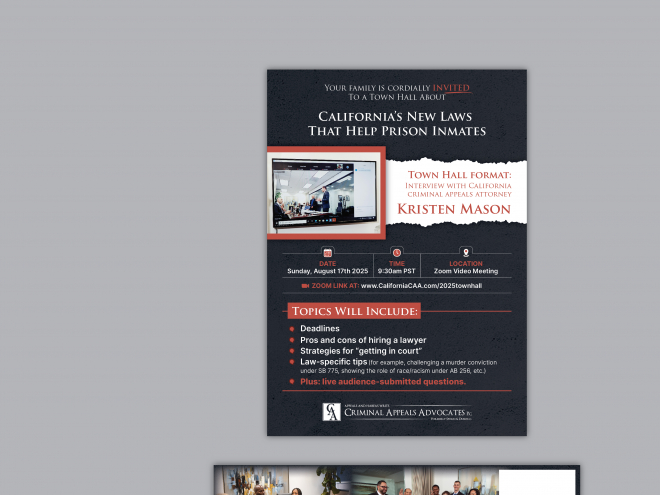 Flyer Design #119 | 'Criminal Appeals Advocates' design project ...