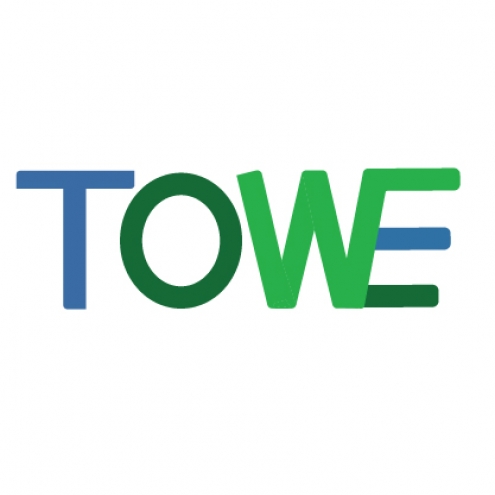 Logo Design #106 | 'TOWe- Organisational capacity building initiative ...